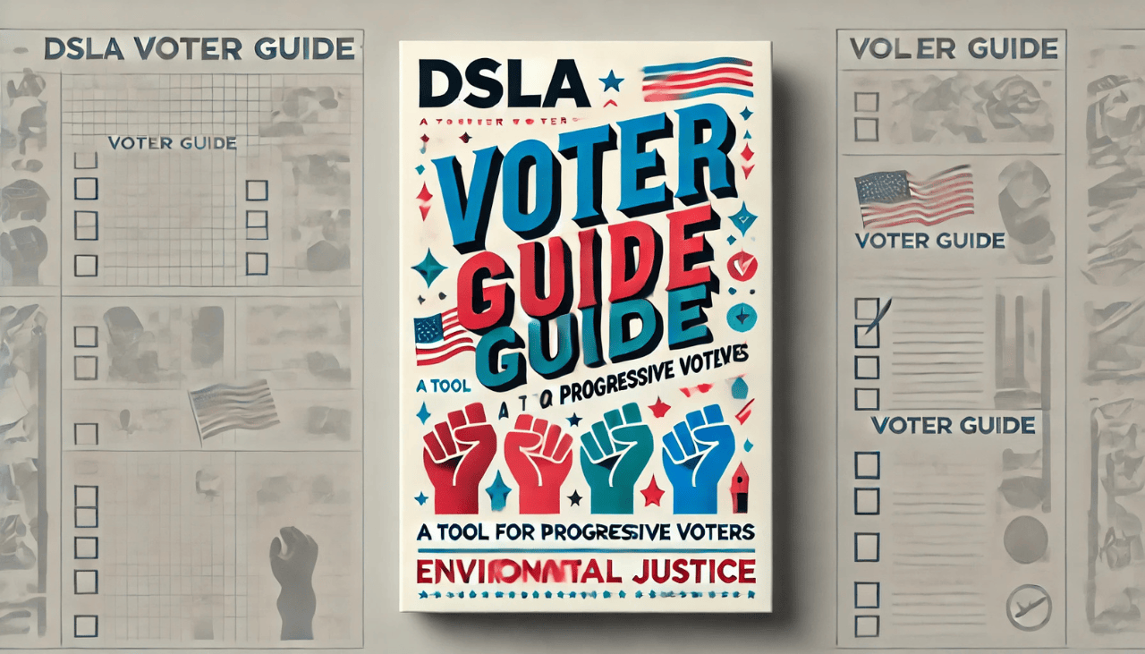 DSLA Voter Guide: A Tool for Progressive Voters - Visto Web Network